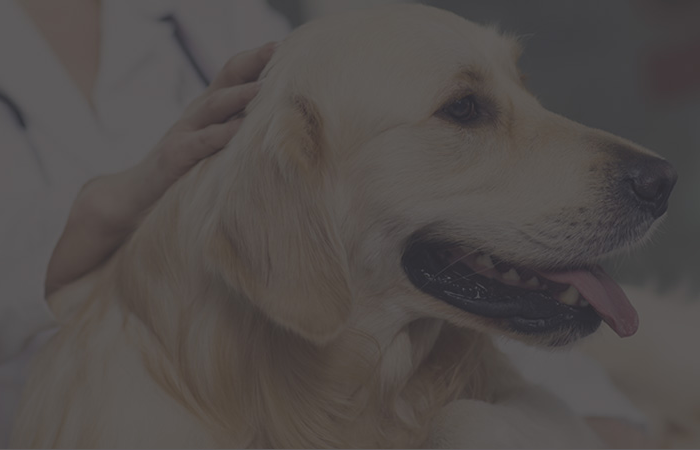 Welcome To Karma Foundation