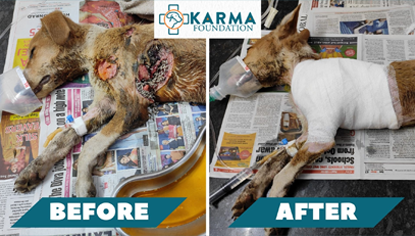 Welcome To Karma Foundation